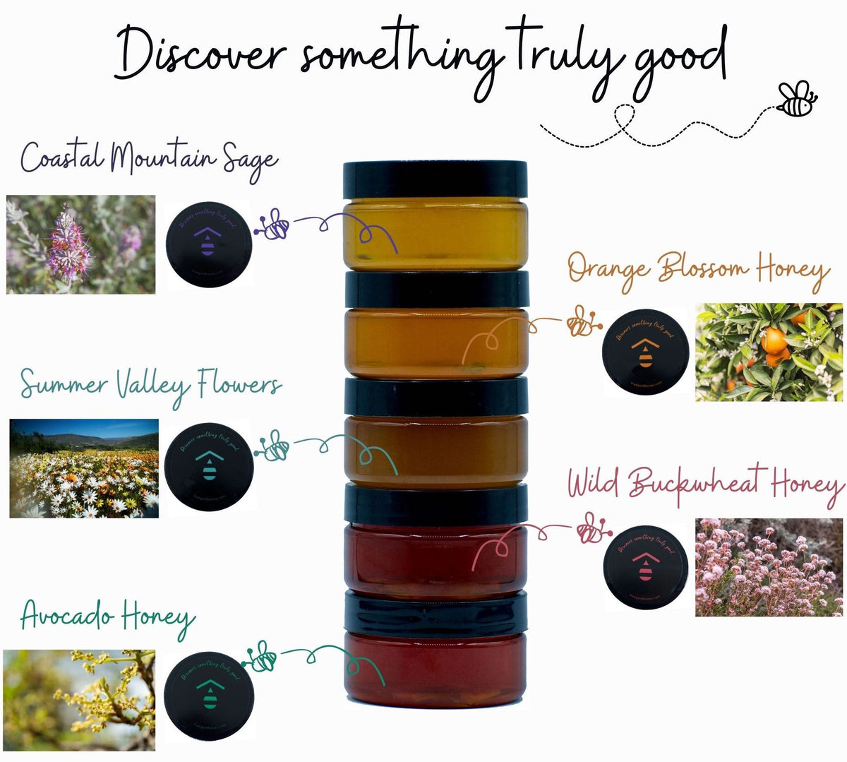 True Gold Honey Discovery Flight, 100% pure California honey variety p ...